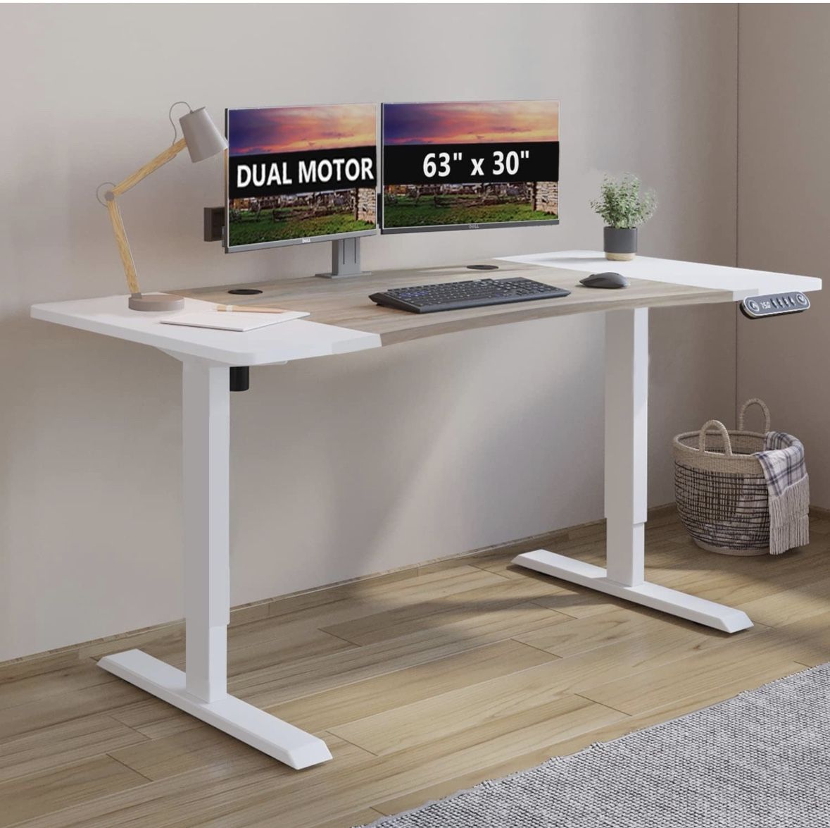 Dual Motor Electric Standing Desk, 63 x 30 Inch Height Adjustable for ...