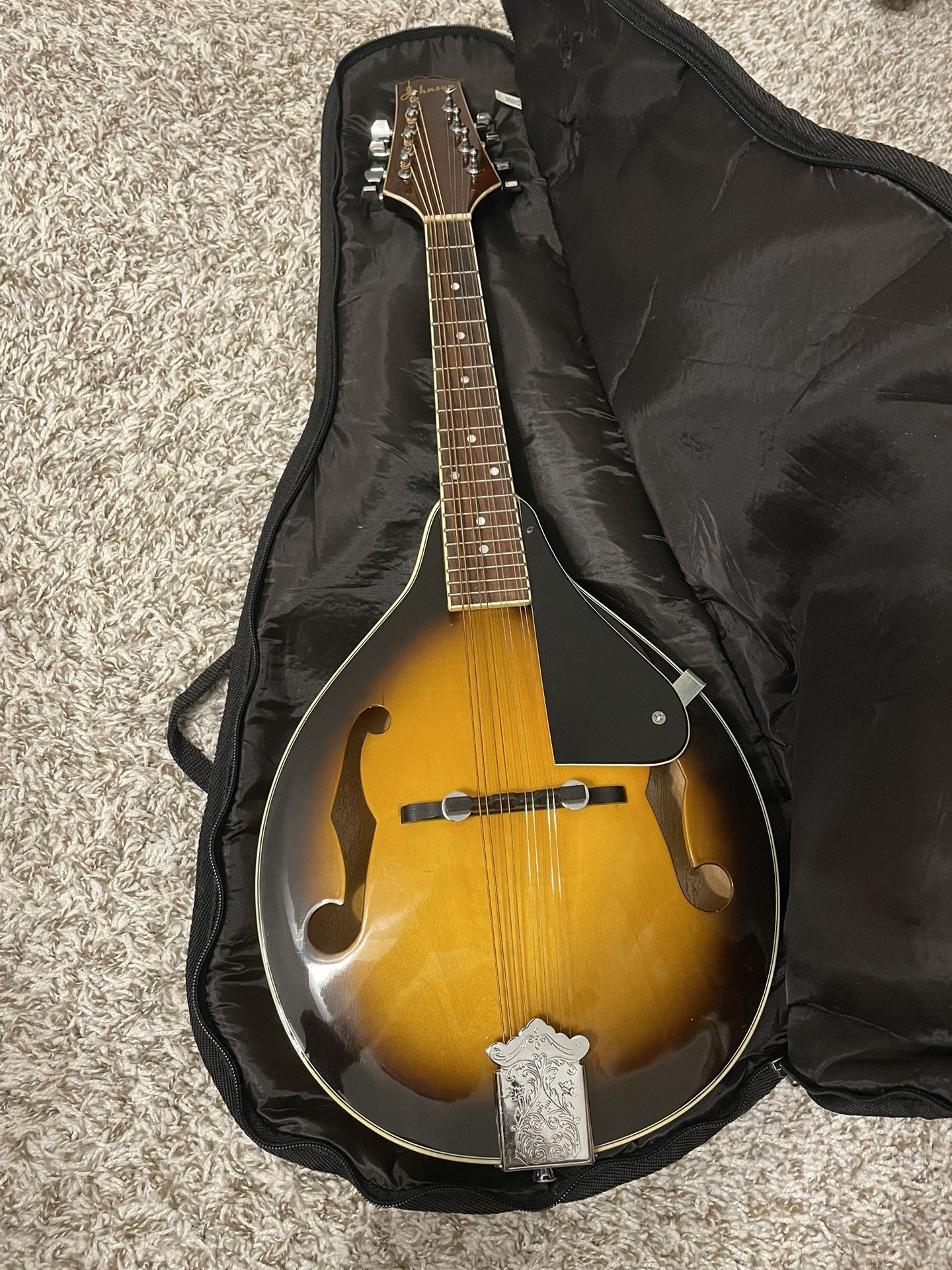 Johnson Mandolin With Soft Case for Sale in Katy, TX - OfferUp