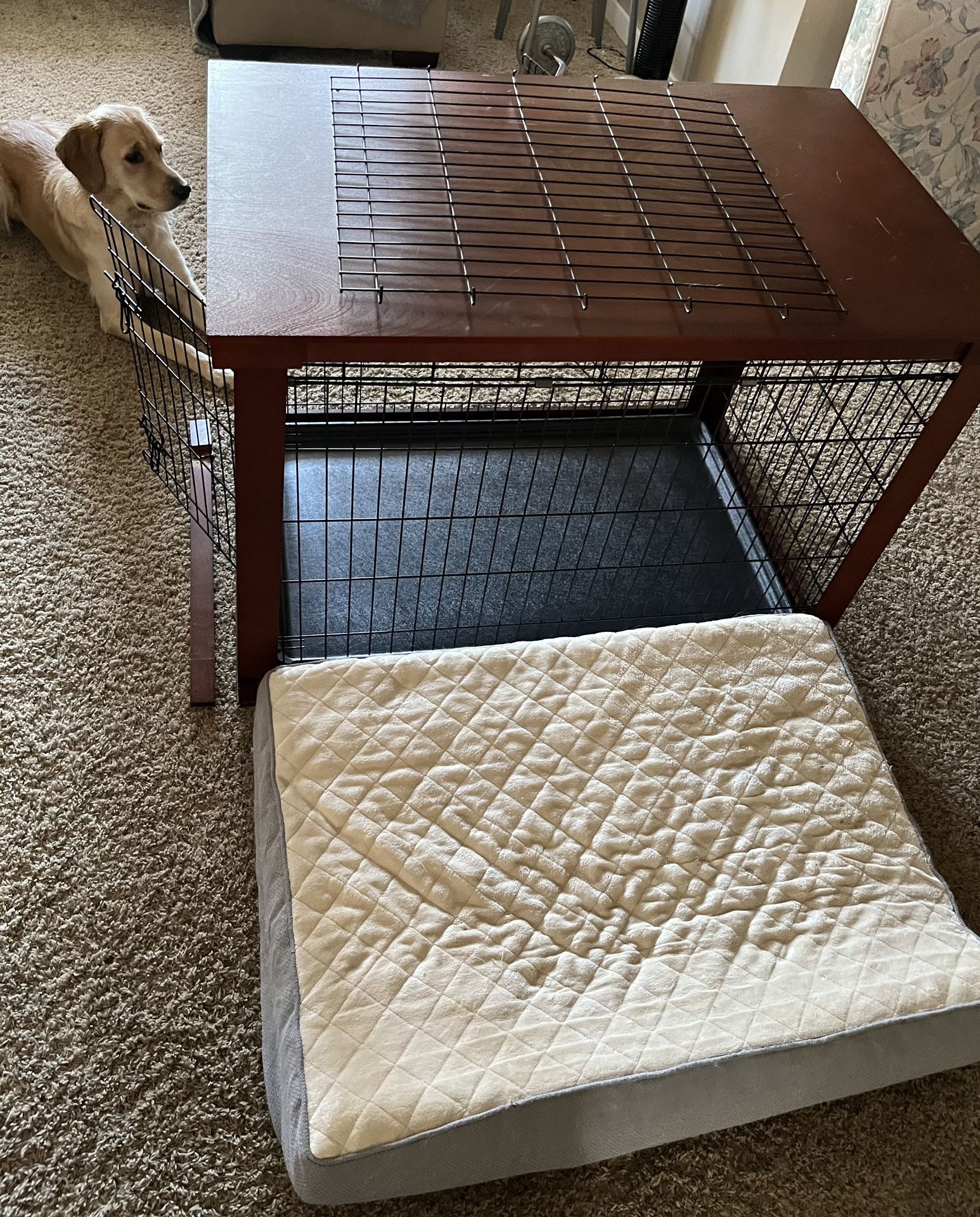 Dog Crate for Sale in Norton Shores, MI - OfferUp
