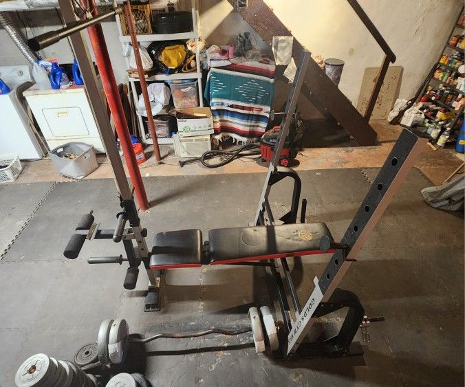 Gold's Gym XR5 Olympic Weight Bench, Weights, & Curling Bar, Lat & Legs ...