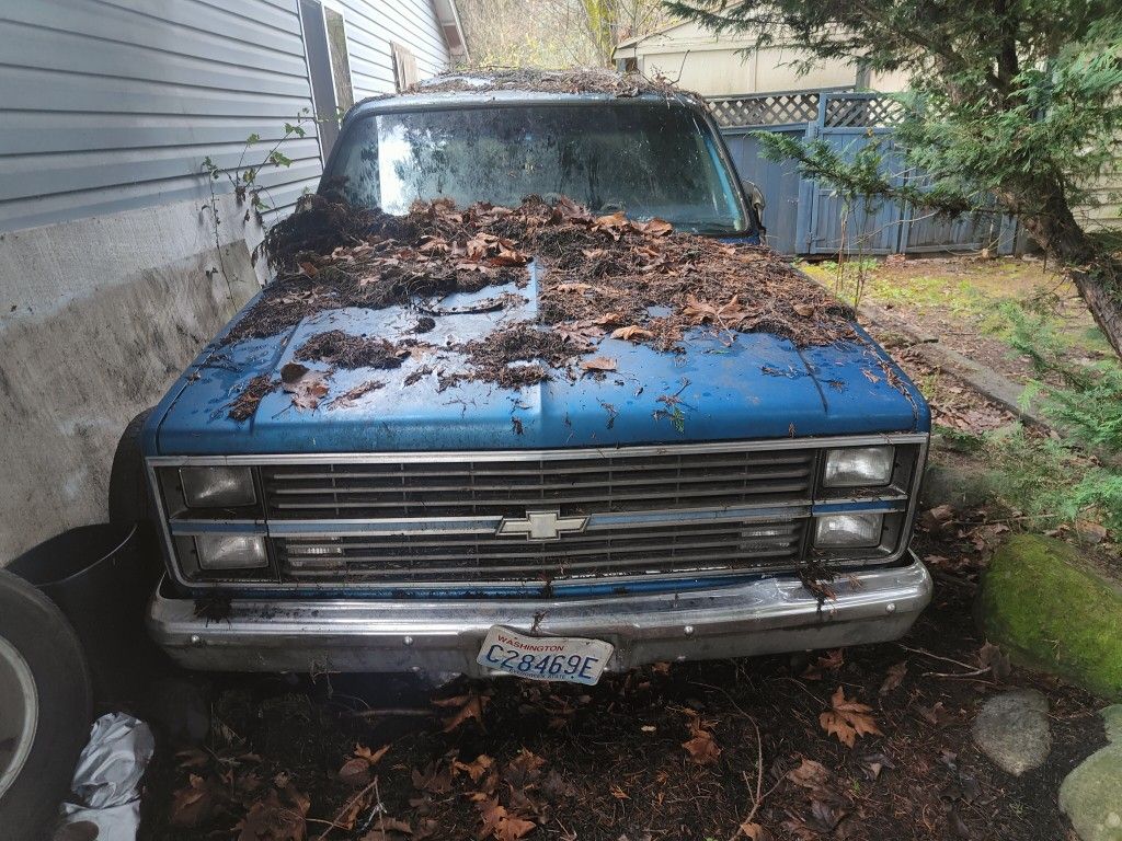 1984 Chevrolet C10/k10 for Sale in Tacoma, WA - OfferUp