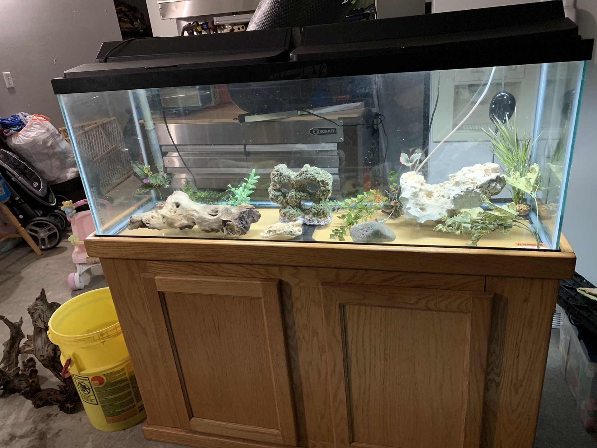 50 Gallon Tall Aquarium