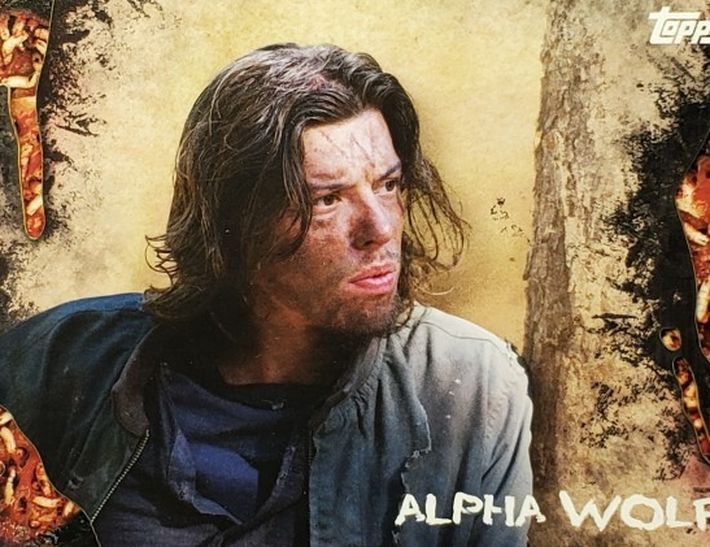 The Walking Dead Survival Box 09/10 Limited Edition Numbered Alpha Wolf Trading Card for Sale in ...