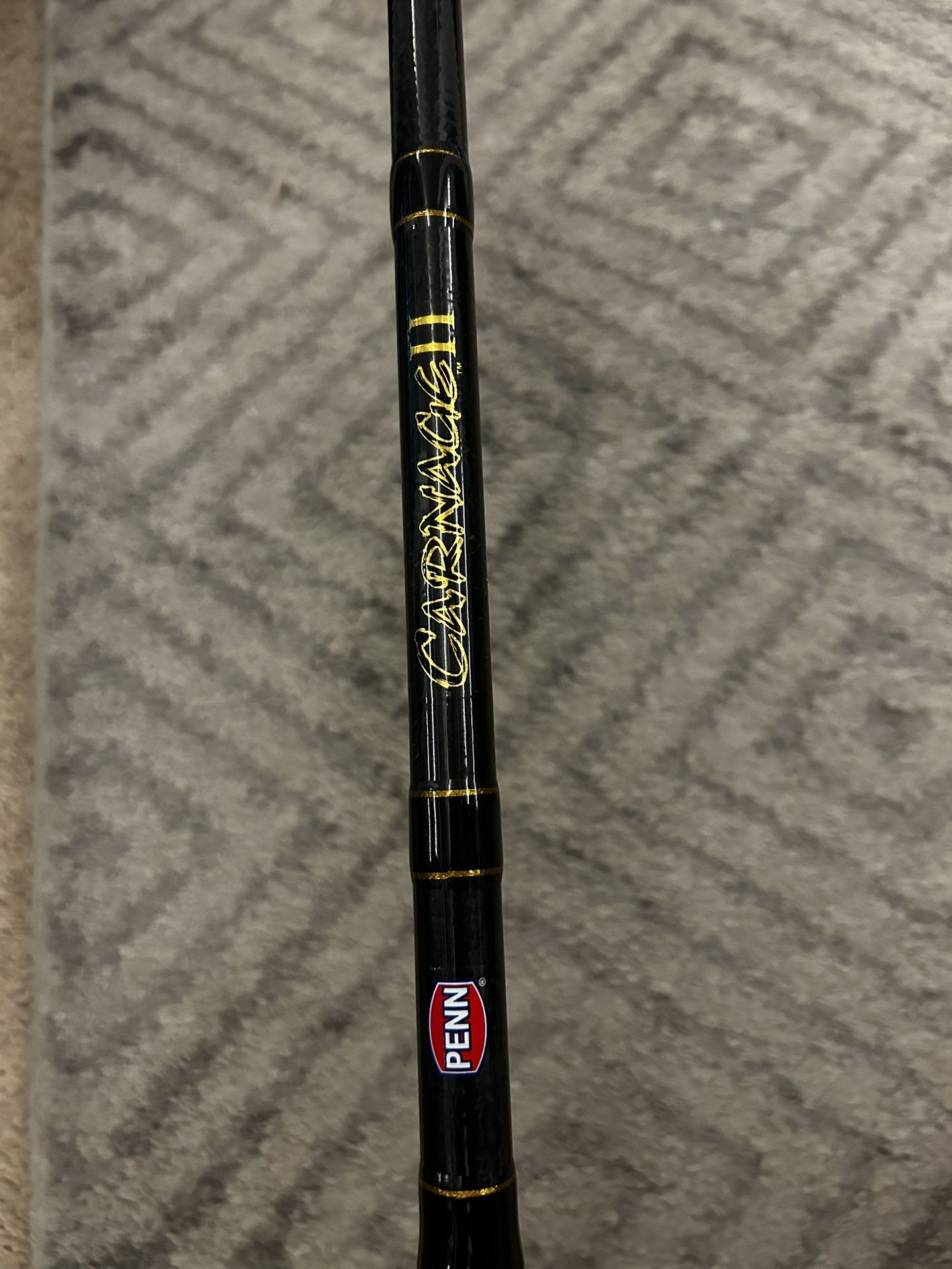 fishing Rod / Penn Carnage / 11foot Surf Rod for Sale in Oceanside, CA ...