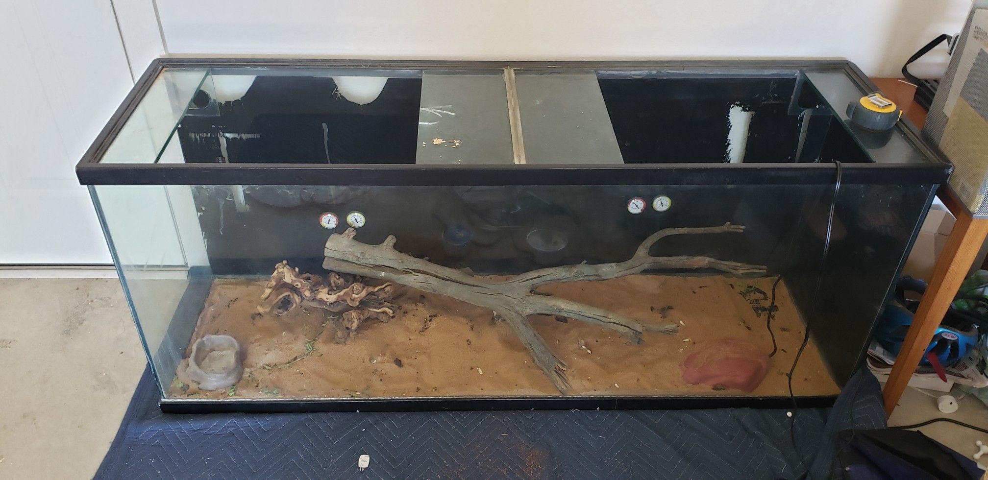 How Big Is A 100 Gallon Lizard Tank at Terri Kent blog