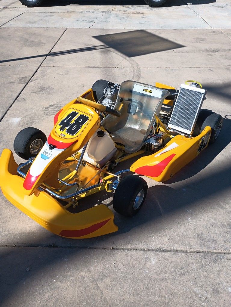 Alfa Full-size Race Cart IAME 125cc Race Engine. for Sale in Temecula ...
