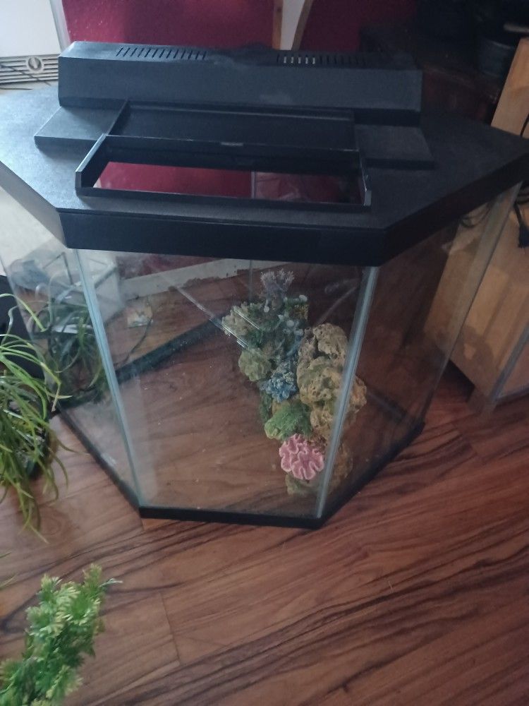 Corner Fish Tank Octagon 30 To 50 Gallons for Sale in Marysville, WA ...