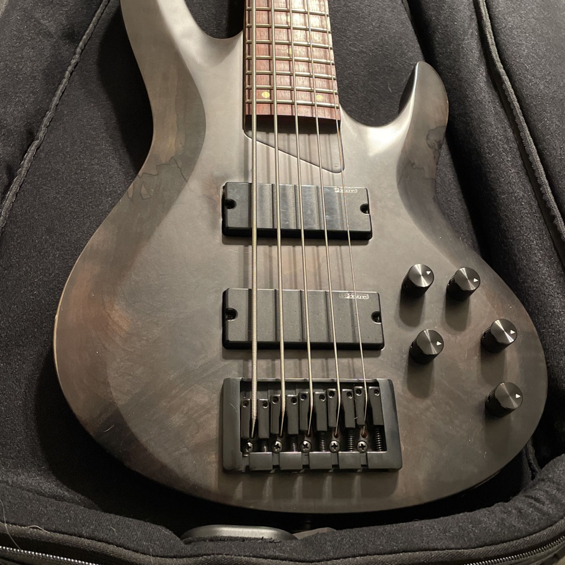 LTD ESP 5 String Bass for Sale in Murrieta, CA - OfferUp