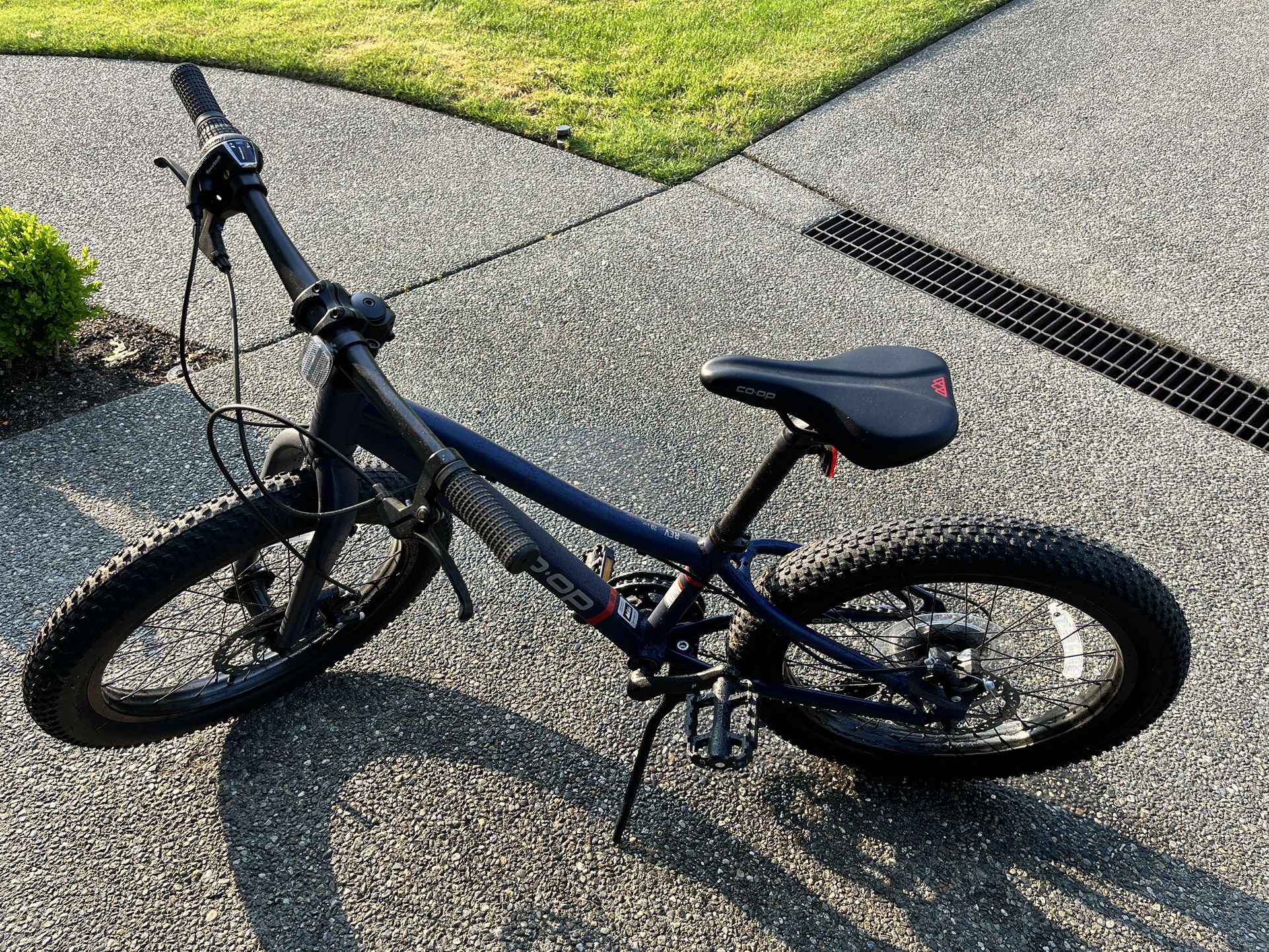 Excellent Condition - REI Co-op Cycles REV 20 6-Speed Plus Kids ...