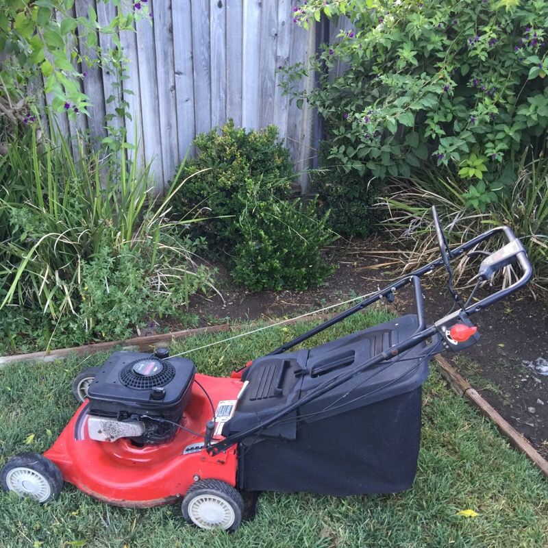 MTD 21 Inch Rear Propelled Mower With Bag 5.5 HP Briggs And Stratton ...