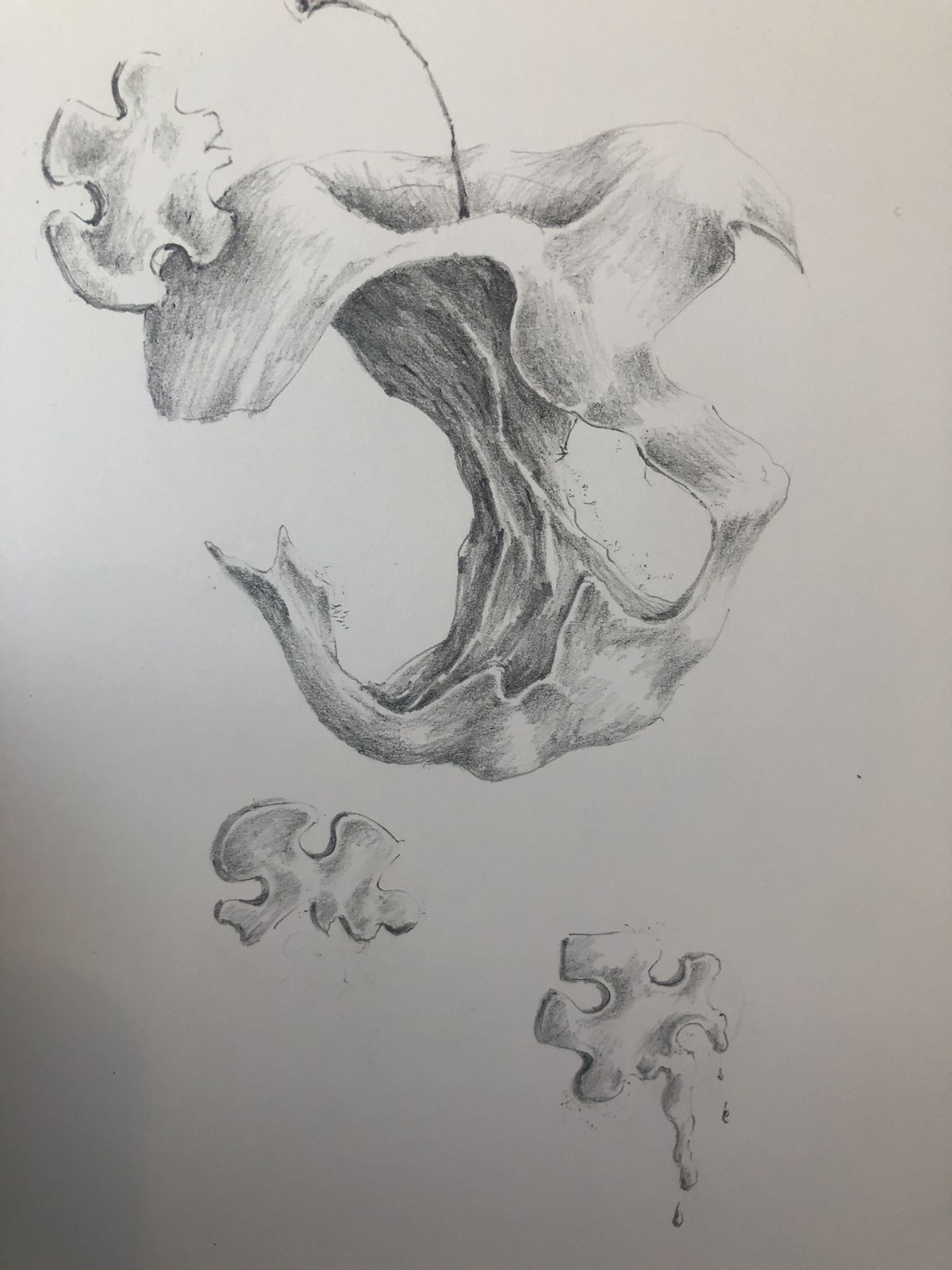 Popcorn Pencil Drawing