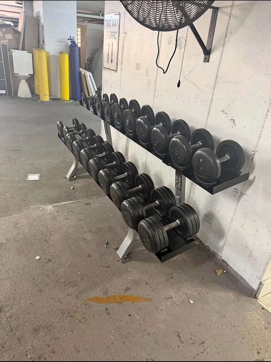 Commercial Troy Dumbbell Set with Rac for Sale in Tacoma, WA - OfferUp
