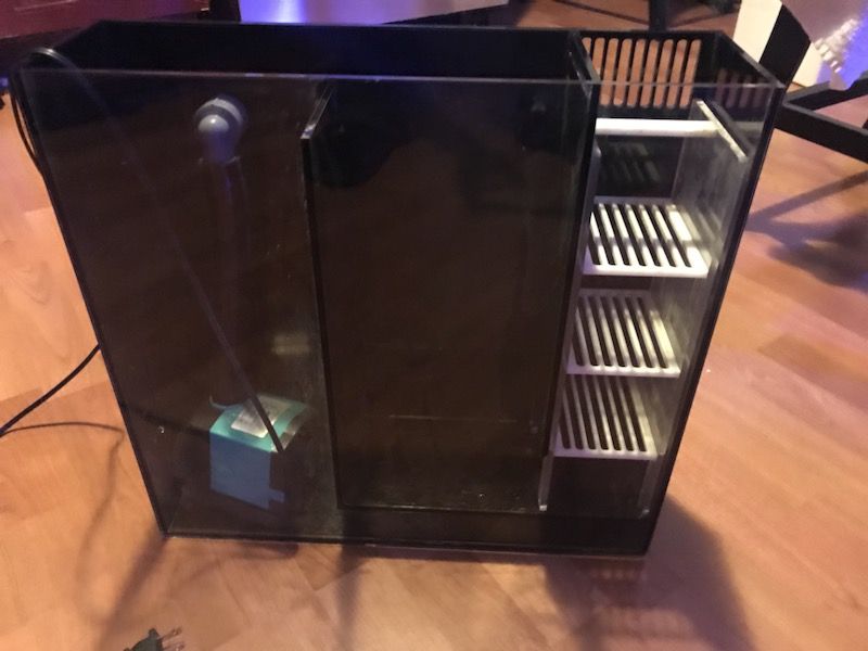 AIO BOX ALL-IN-ONE KIT - 40 GALLON BREEDER - FIJI CUBE for Sale in ...