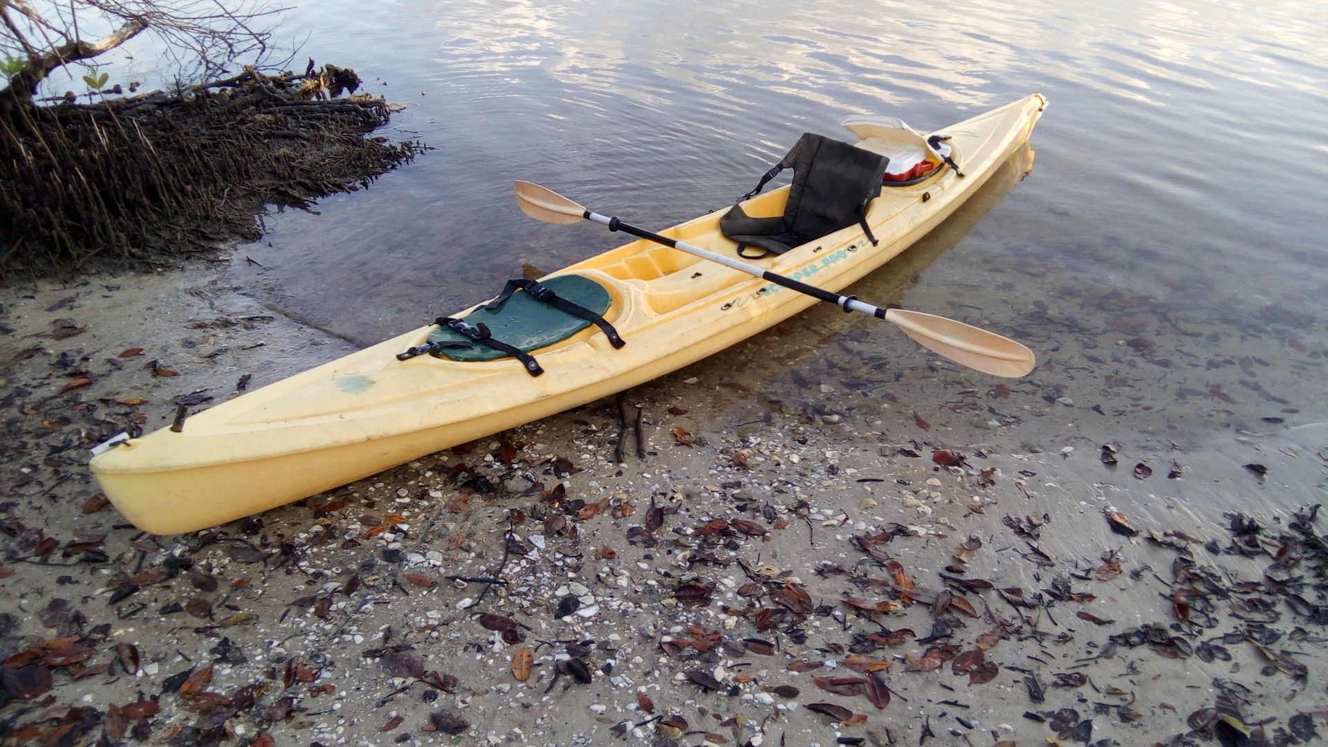 14 Ft Scupper Pro Kayak for Sale in Naples, FL - OfferUp