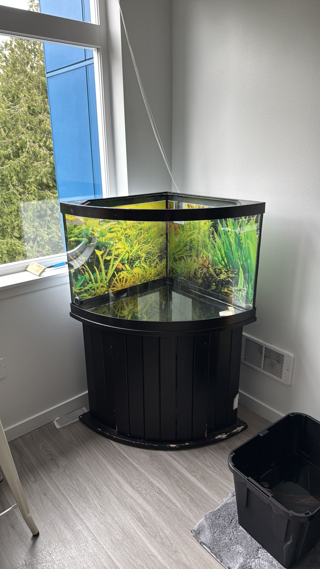 55 Gallon Corner Fish Tank