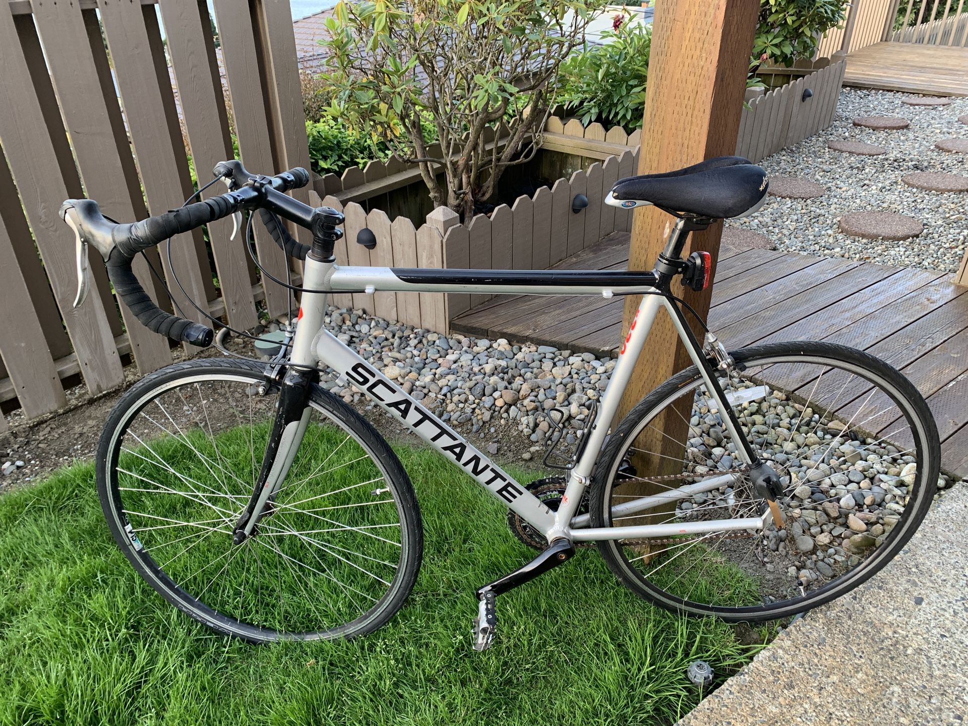 Scattante Road Bike for Sale in Seattle, WA - OfferUp