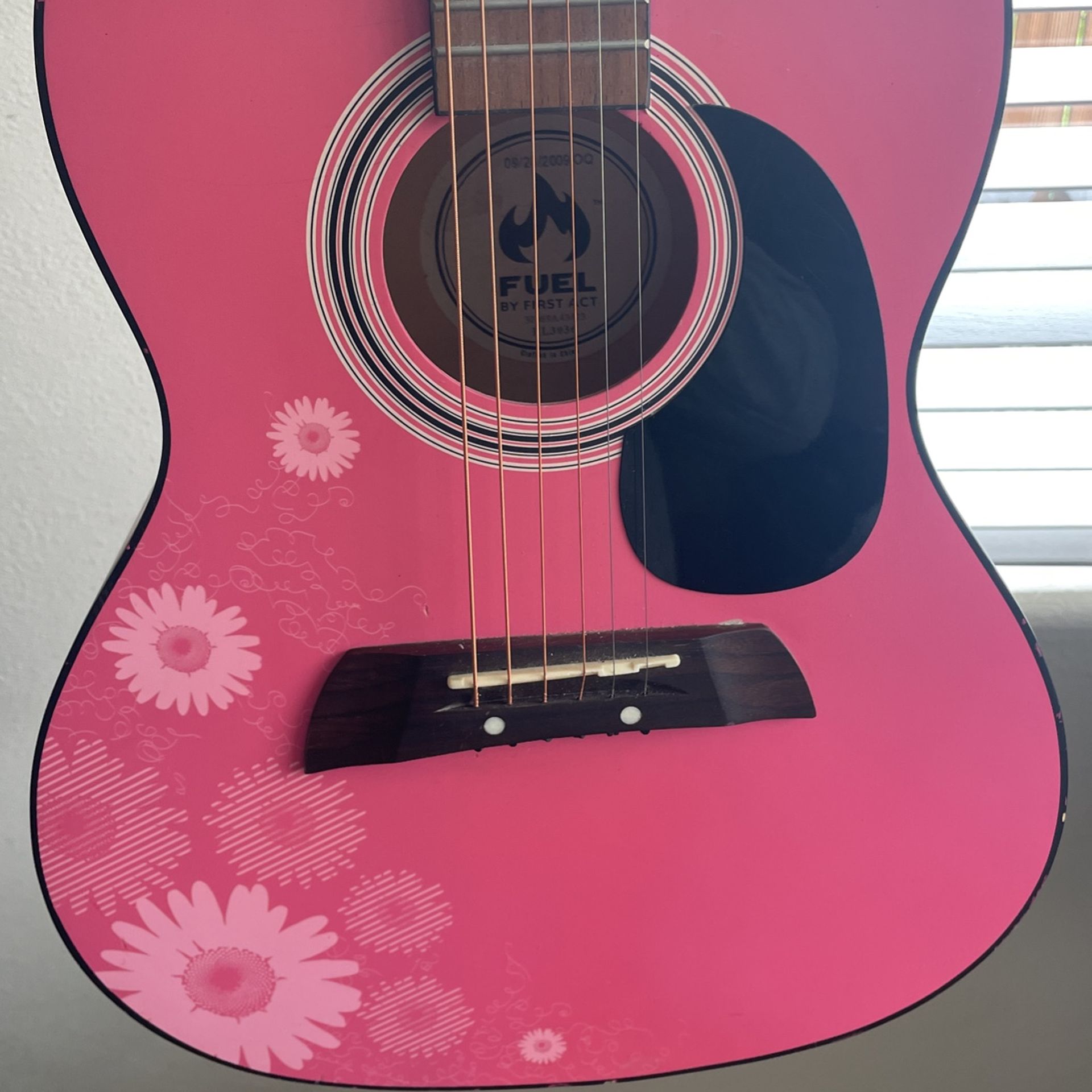 First Act Acoustic Guitar Pink | ppgbbe.intranet.biologia.ufrj.br
