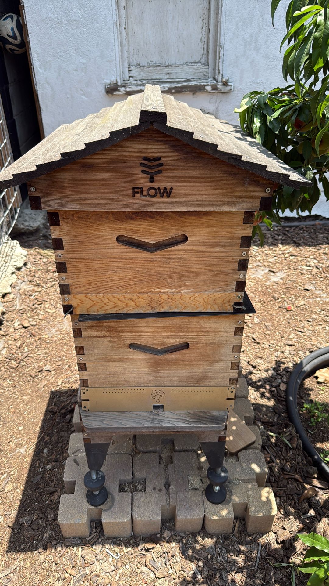 Flow Hive 2+ – 6 Frame Beehive – Gently Used, Excellent Condition ...