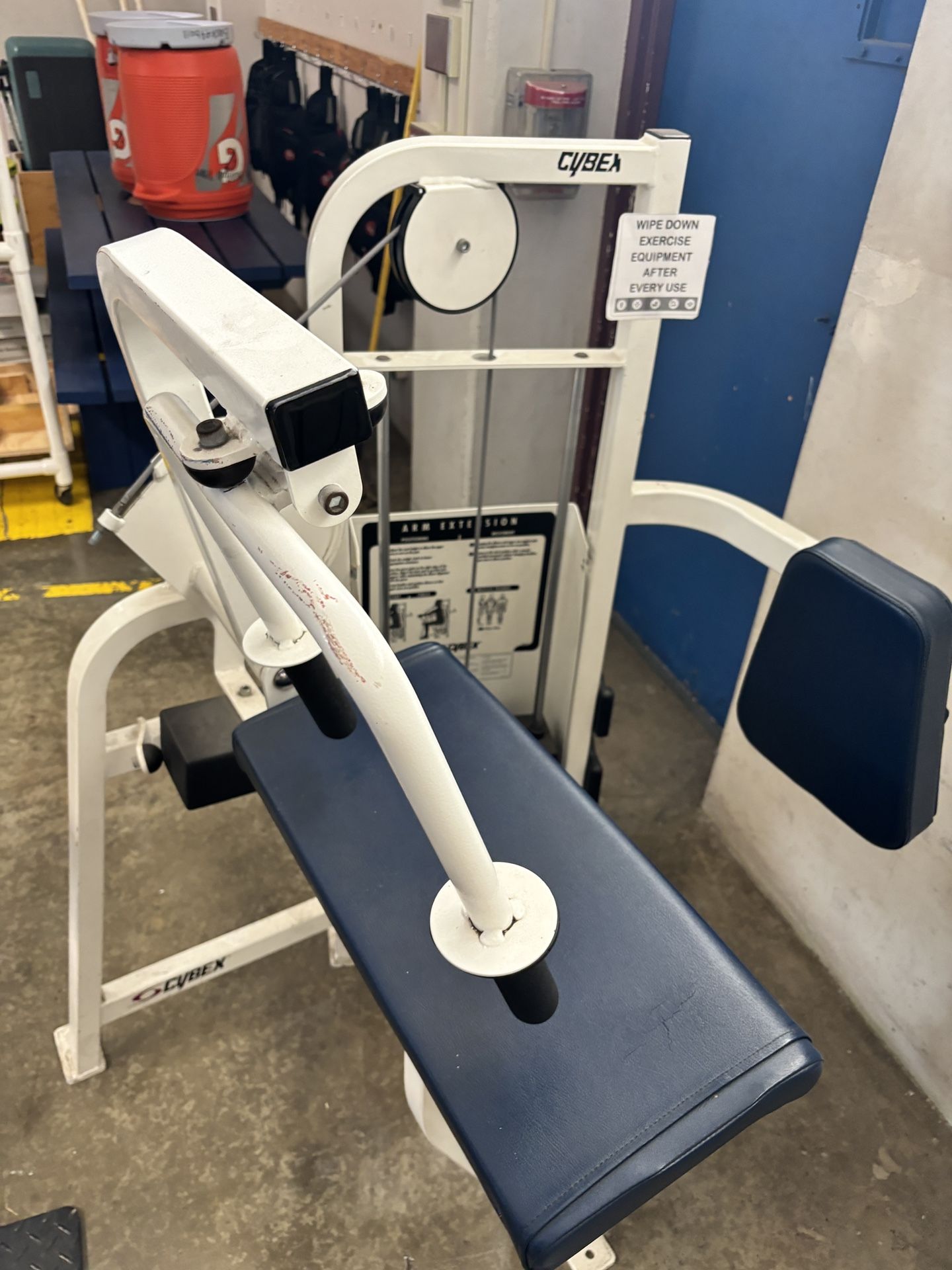 Cybex Arm Extension Machine for Sale in Los Angeles, CA - OfferUp