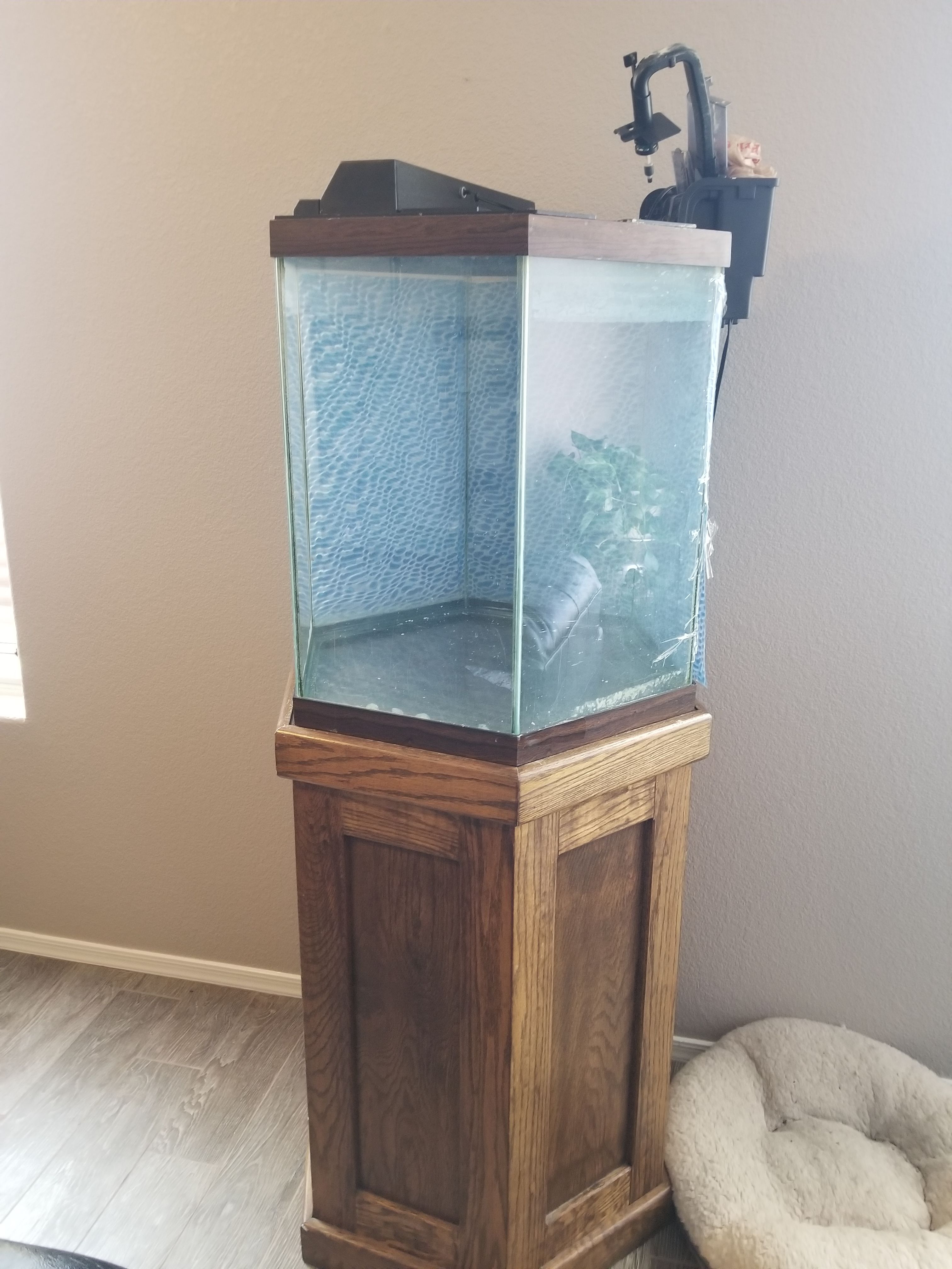 Beautiful 75 gallon fish tank for Sale in Chandler, AZ - OfferUp