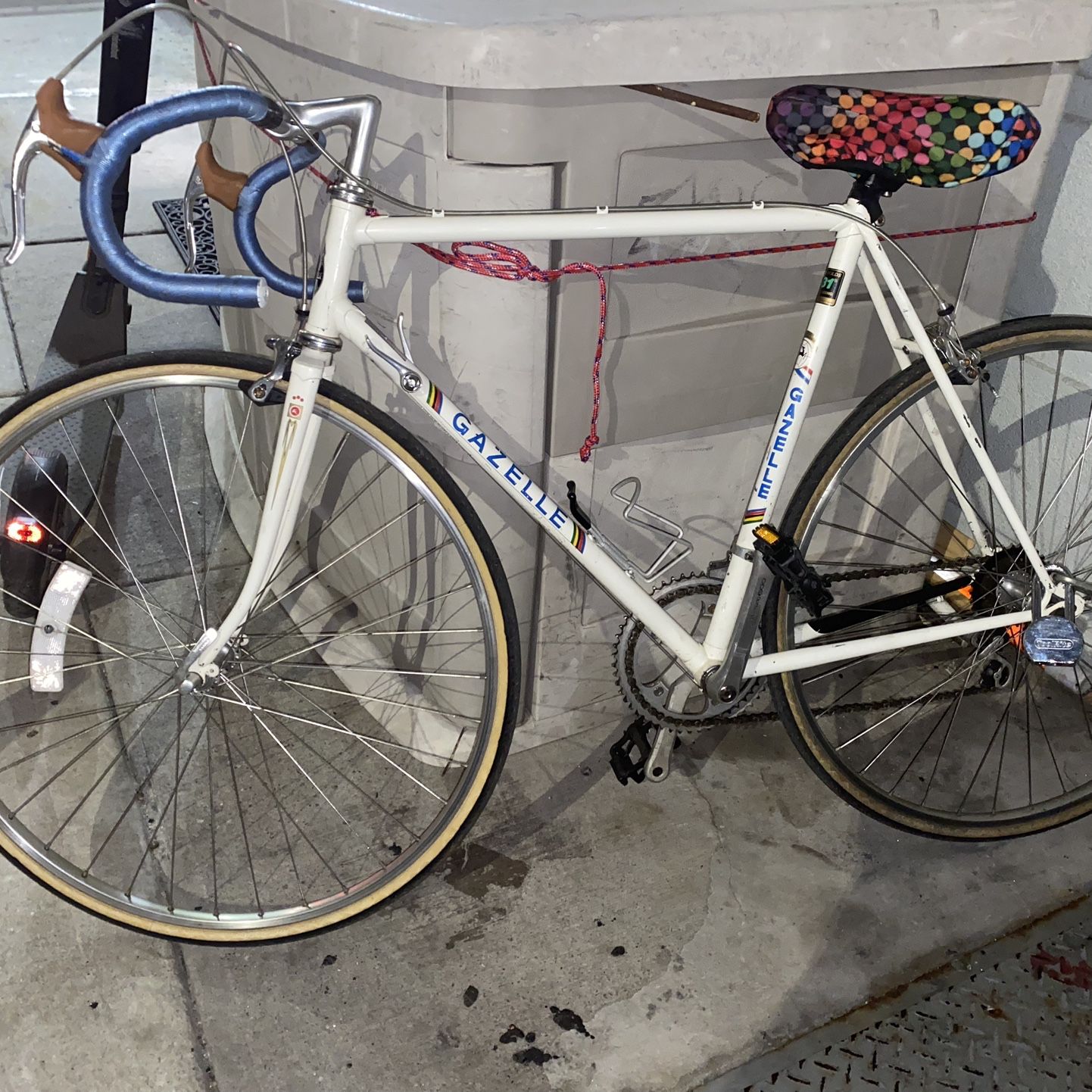 Gazelle Road Bike