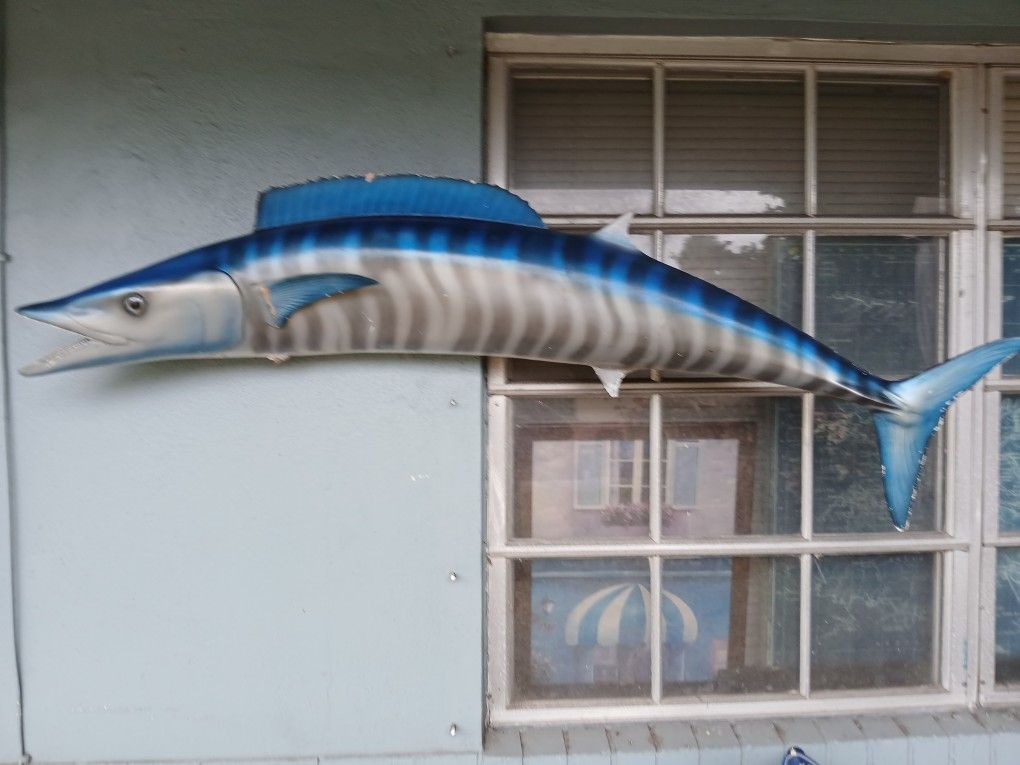 Mounted Wahoo for Sale in Fort Lauderdale, FL - OfferUp