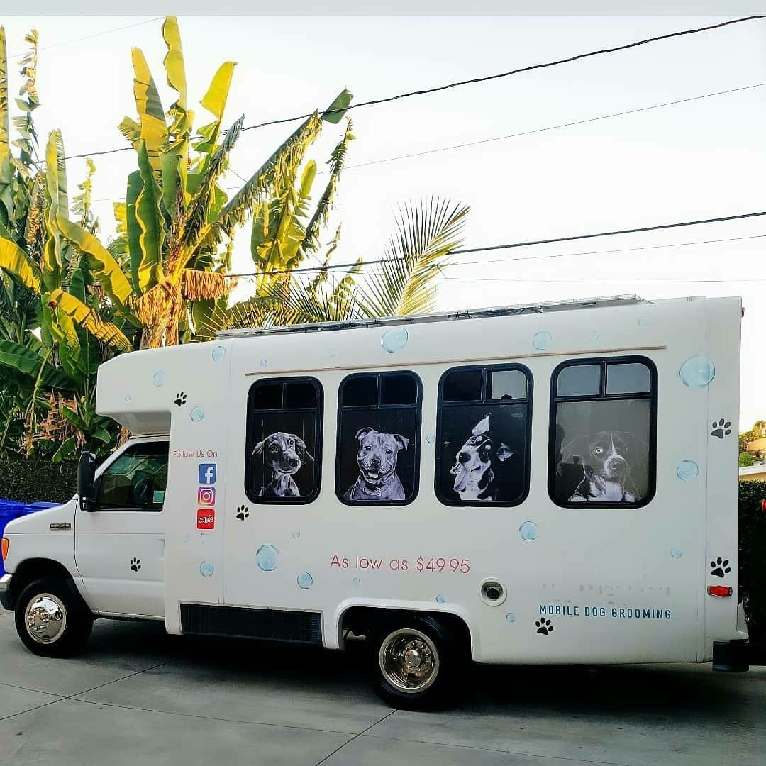 Mobile Pet Grooming Shuttle Bus Fully Equipped for Sale in Playa del ...