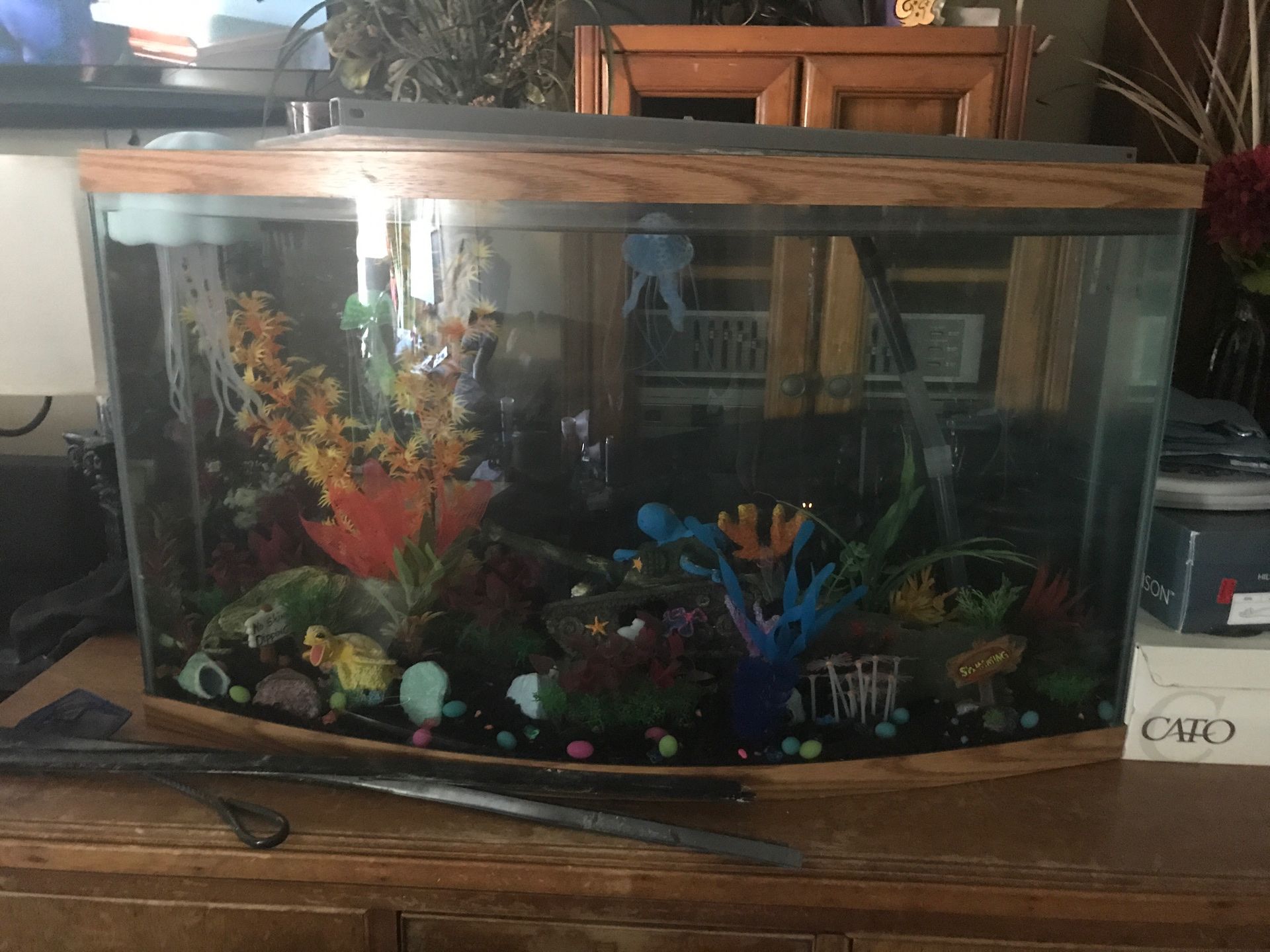 Bowed Fish Tank for Sale in Fort Worth, TX - OfferUp