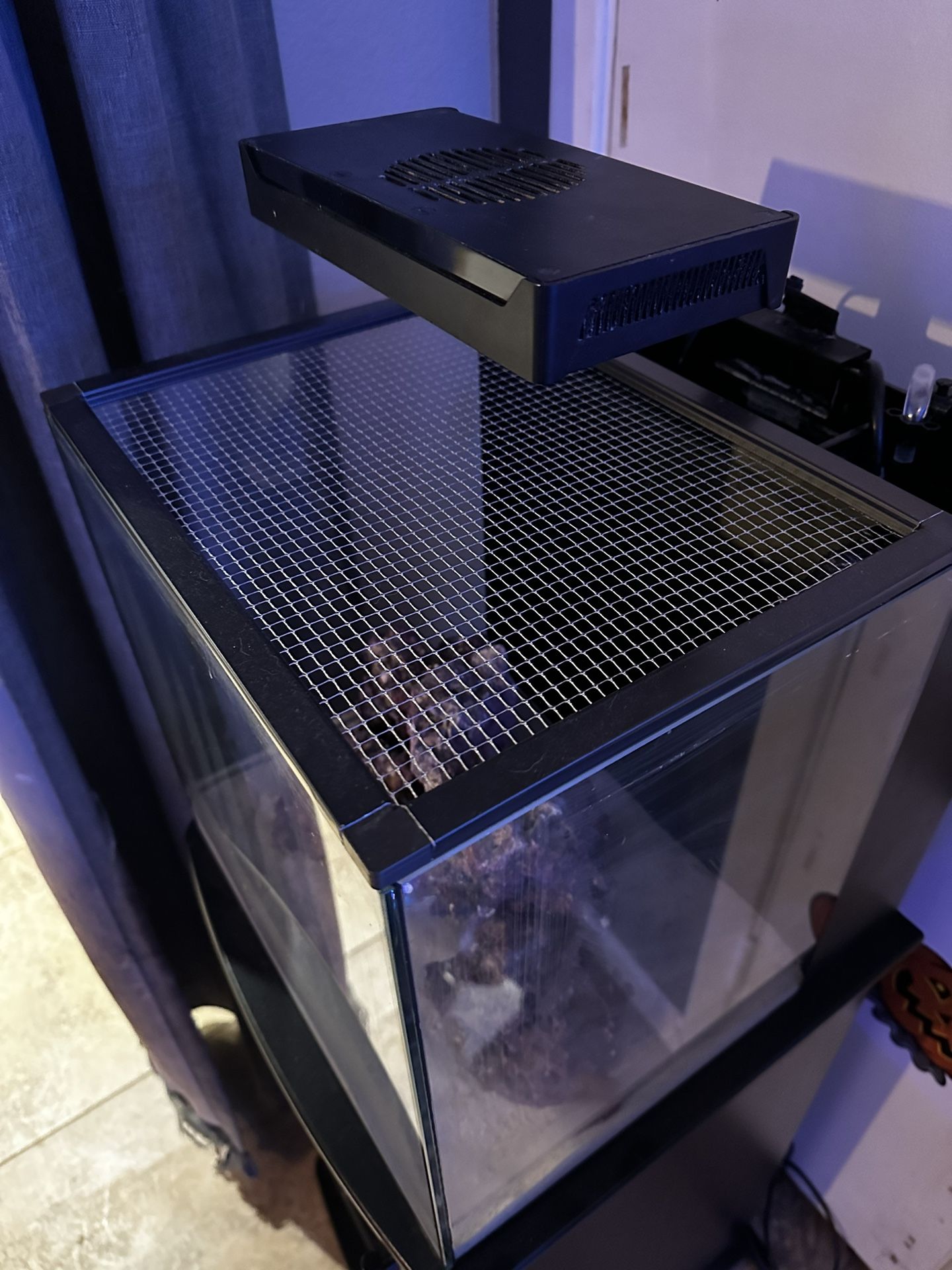 Waterbox 10 Gallon Micro Saltwater Reef Tank Setup for Sale in ...