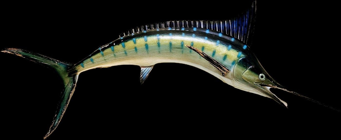 100" Vintage Blue Marlin Fish Sculpture Wall Hanging Metal Mount. for ...