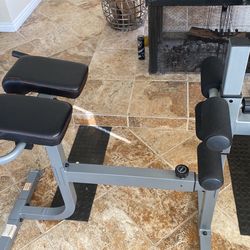 Roman Chair Situps