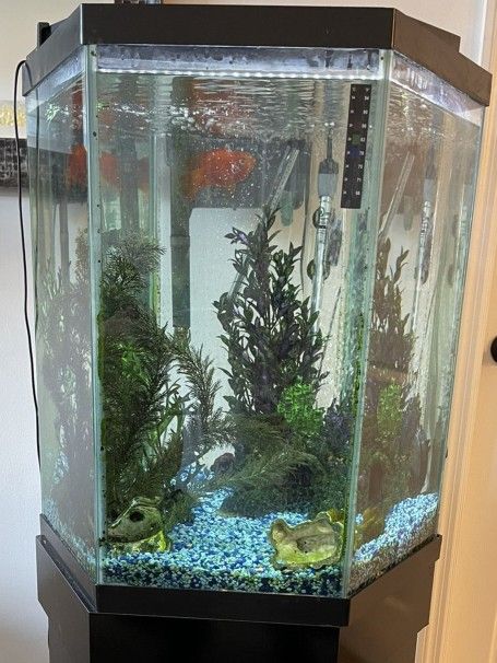 30-45 Gallon Hexagon Aquarium for Sale in Midland, TX - OfferUp