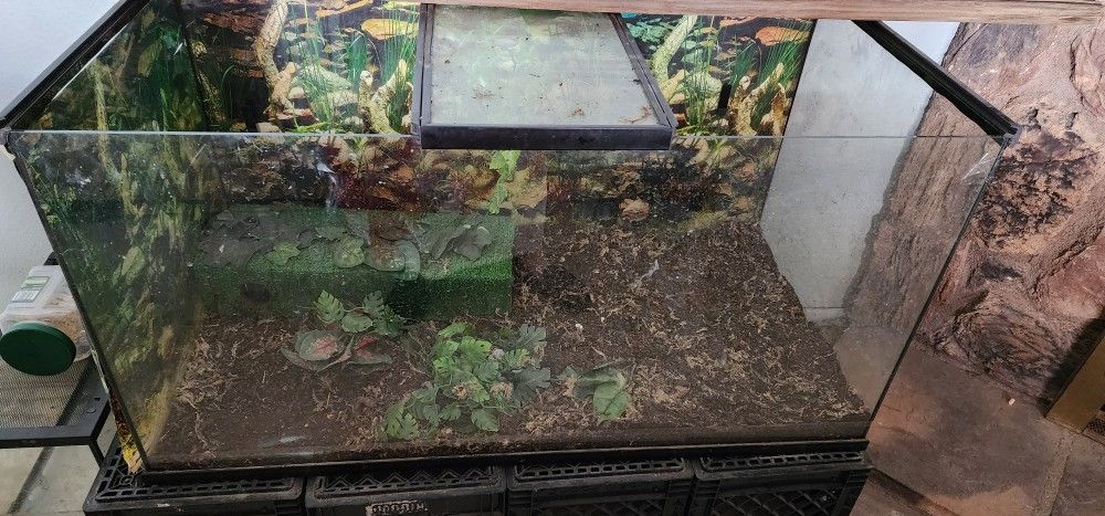 120 Gallon Reptile Tank. (4x2x2) for Sale in Las Vegas, NV - OfferUp