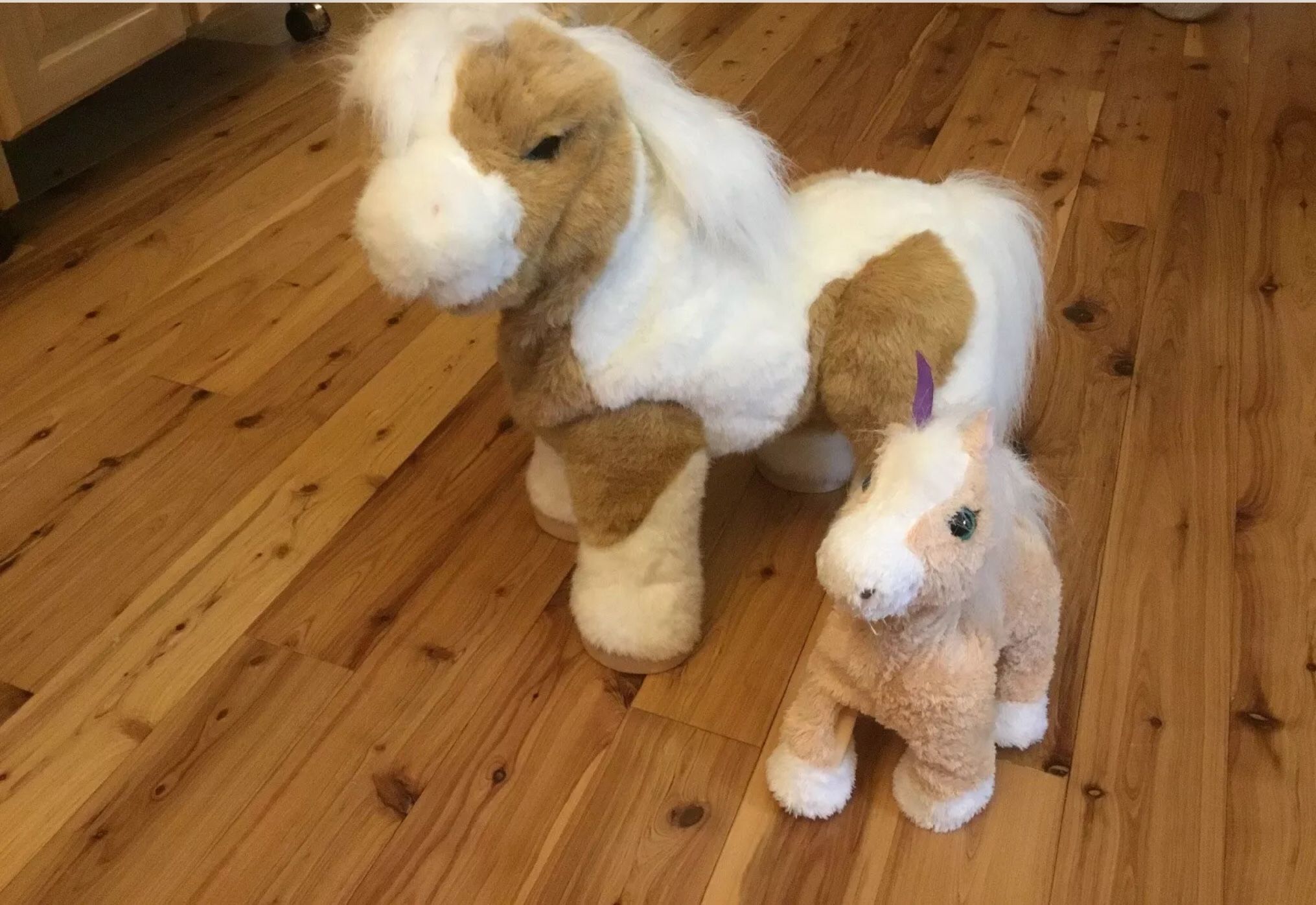 For Real Friends Pony