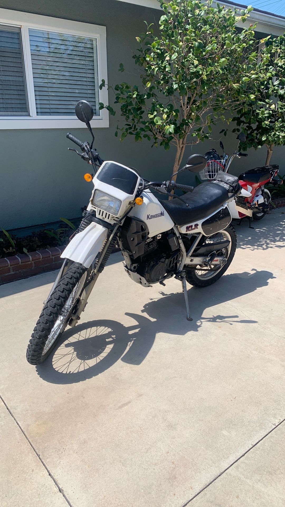 Kawasaki KLR250 for Sale in Cypress, CA - OfferUp