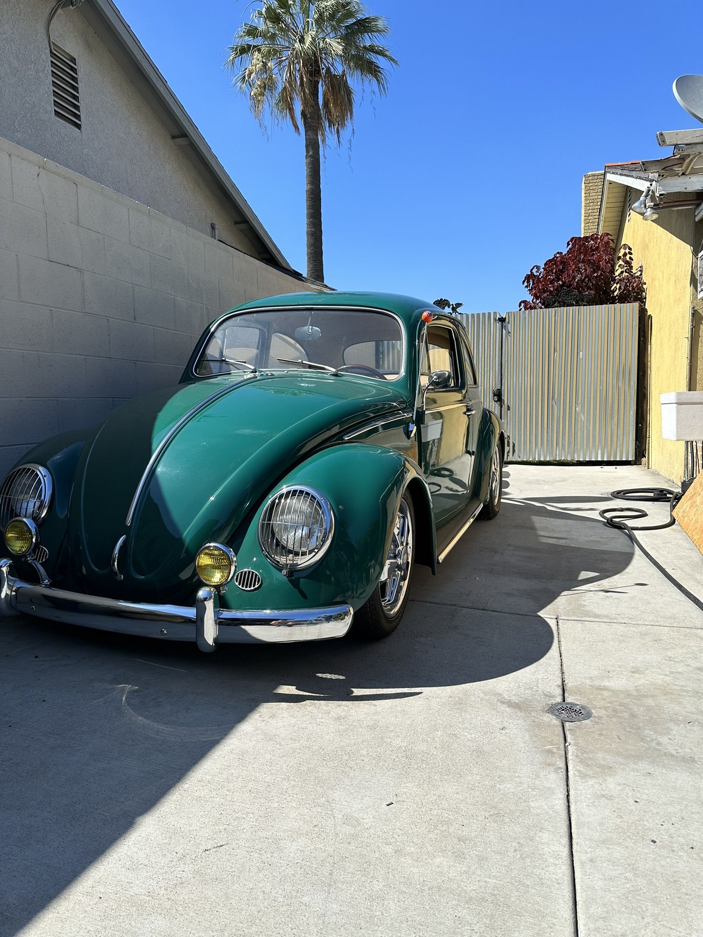 1964 Volkswagen Beetle for Sale in Garden Grove, CA - OfferUp