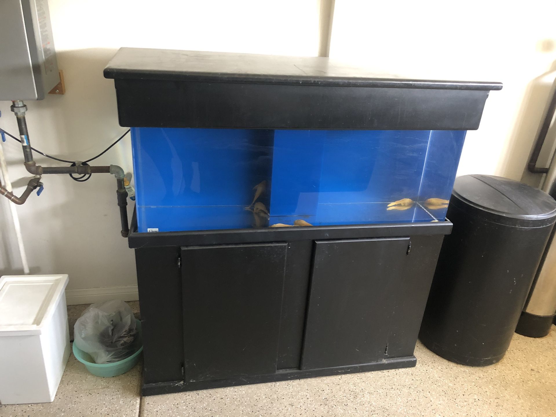 acrylic fish tank aquarium 60gal with sump fliter for Sale in Corona ...