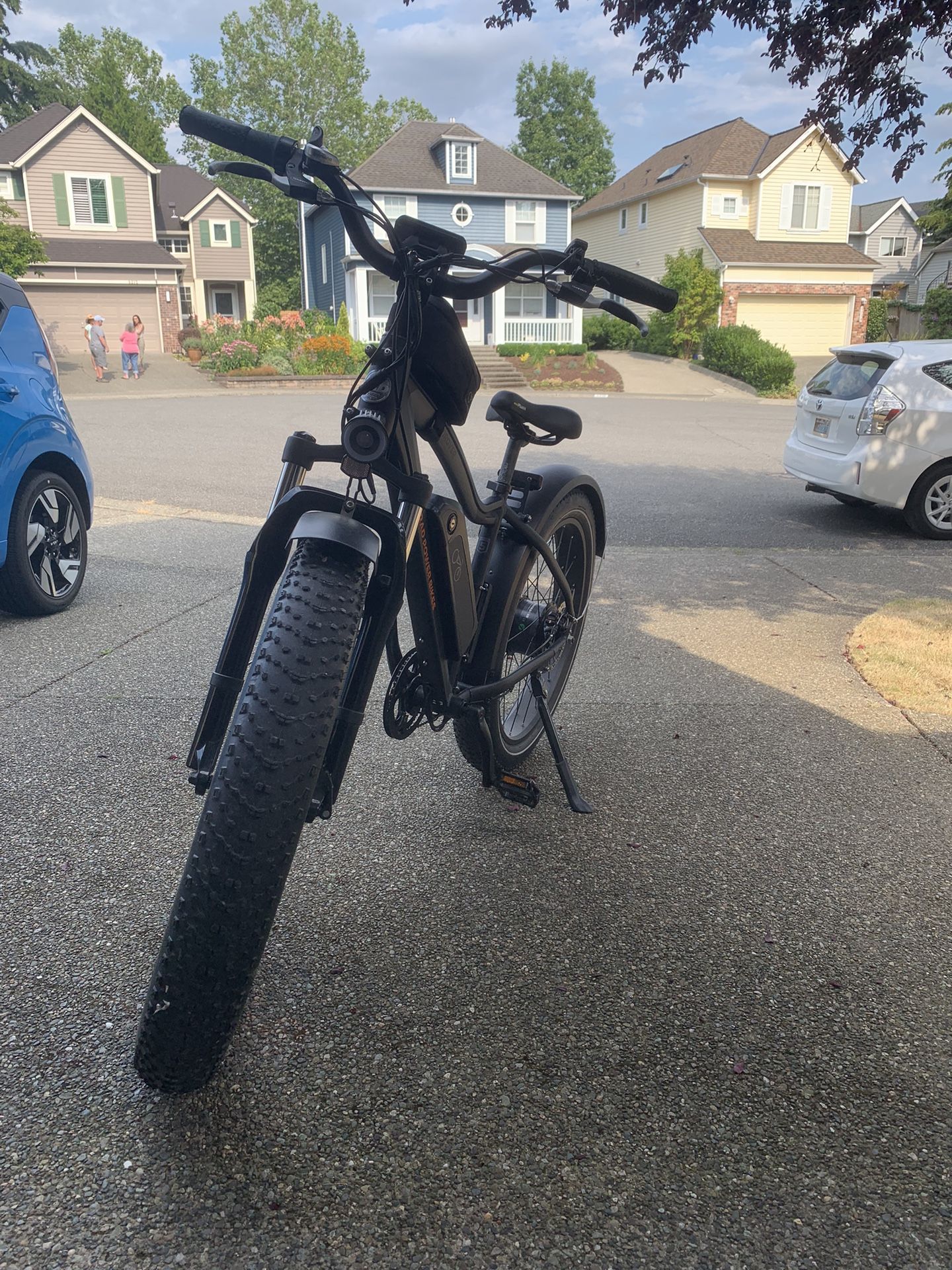Rad Rover Fat Tire e-bike *** Only 155 Miles*** for Sale in Issaquah ...
