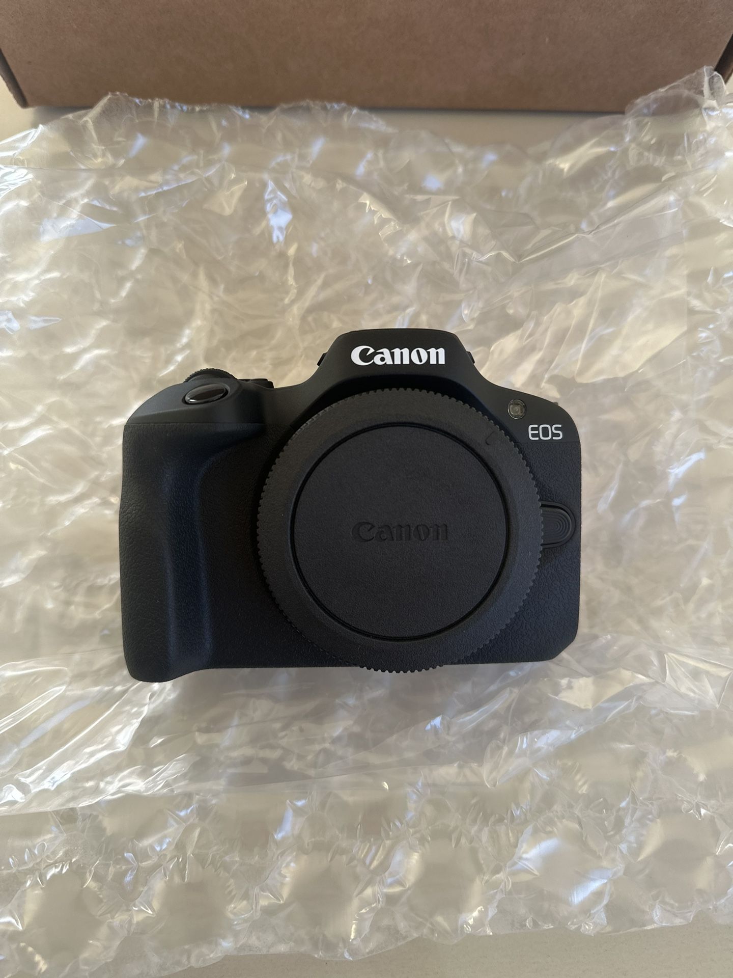 Canon EOS R100 RF-S18-45mm F4.5-6.3 is STM Lens Kit, Mirrorless Camera ...