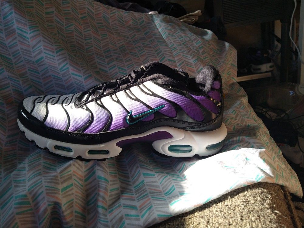 Nike Air Max Plus Reverse Grape Men's Sizes Purple Teal White Black ...