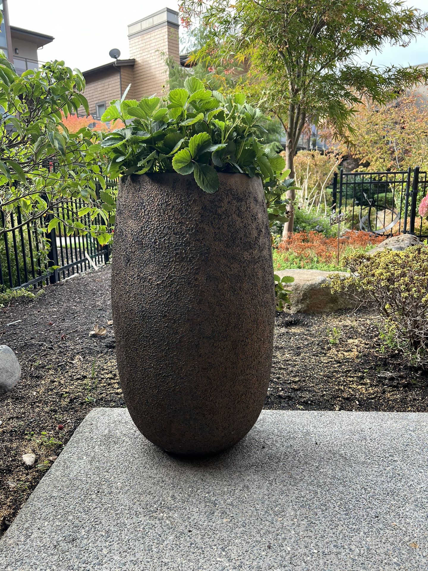 Gorgeous Outdoor Tall Pot - Concrete or Ceramic for Sale in Bellevue ...