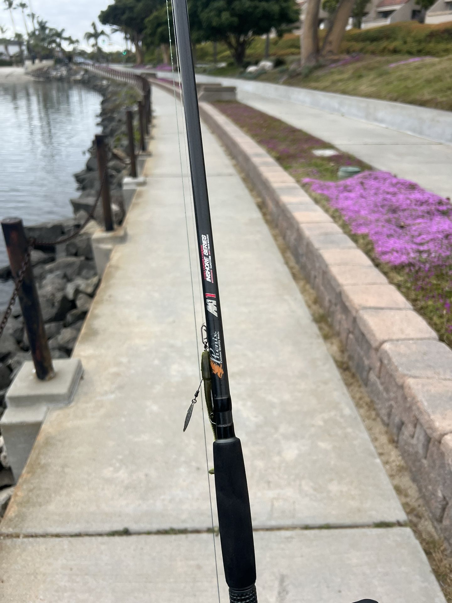 Phenix M1 Inshore Series & Shimano Curado DC Combo for Sale in Anaheim ...
