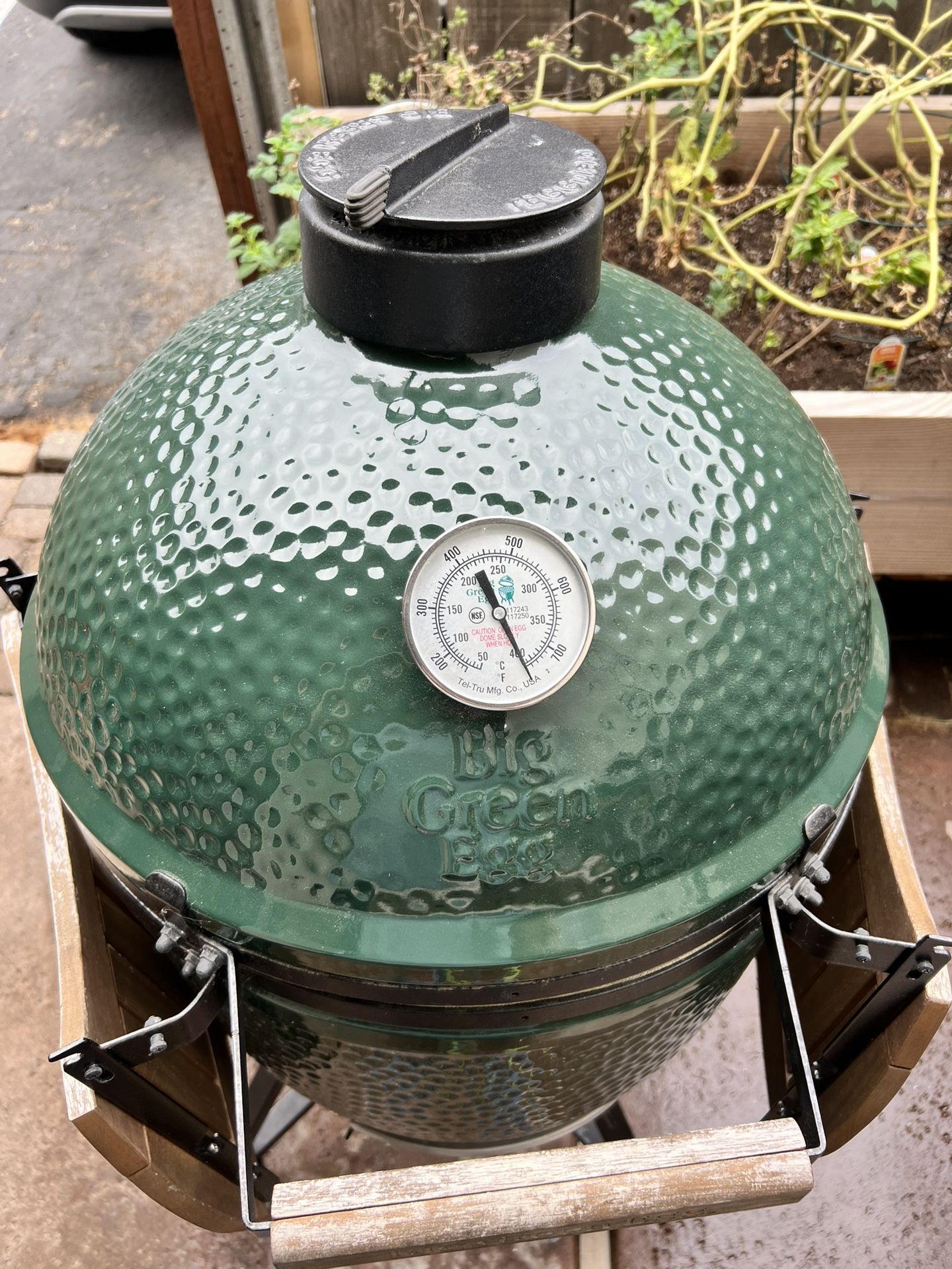 Large Green Egg Smoker & Grill for Sale in San Diego, CA - OfferUp