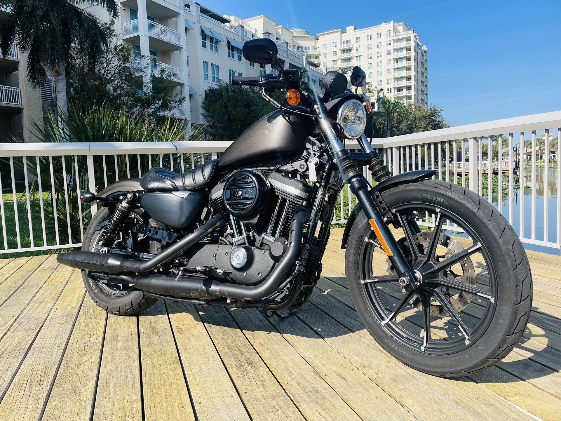 2021 Harley Davidson 883 Iron Under 4K Miles Gun Metal Grey ...
