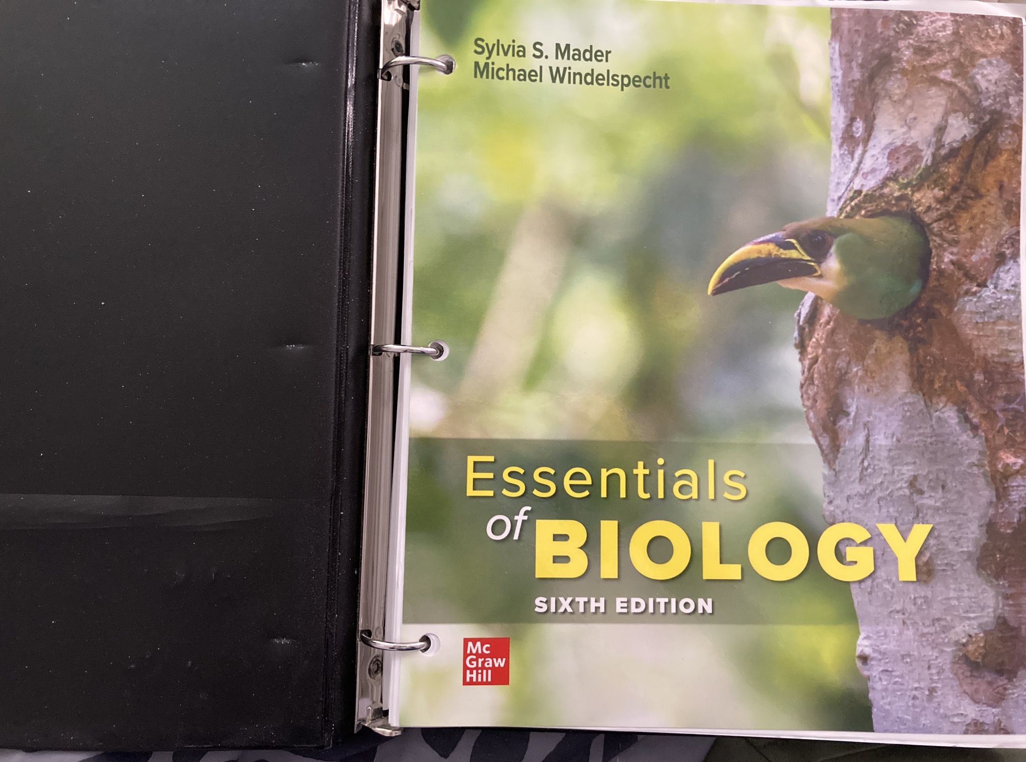 (Free!) Essentials Of Biology Sixth Edition for Sale in Riverview, FL ...