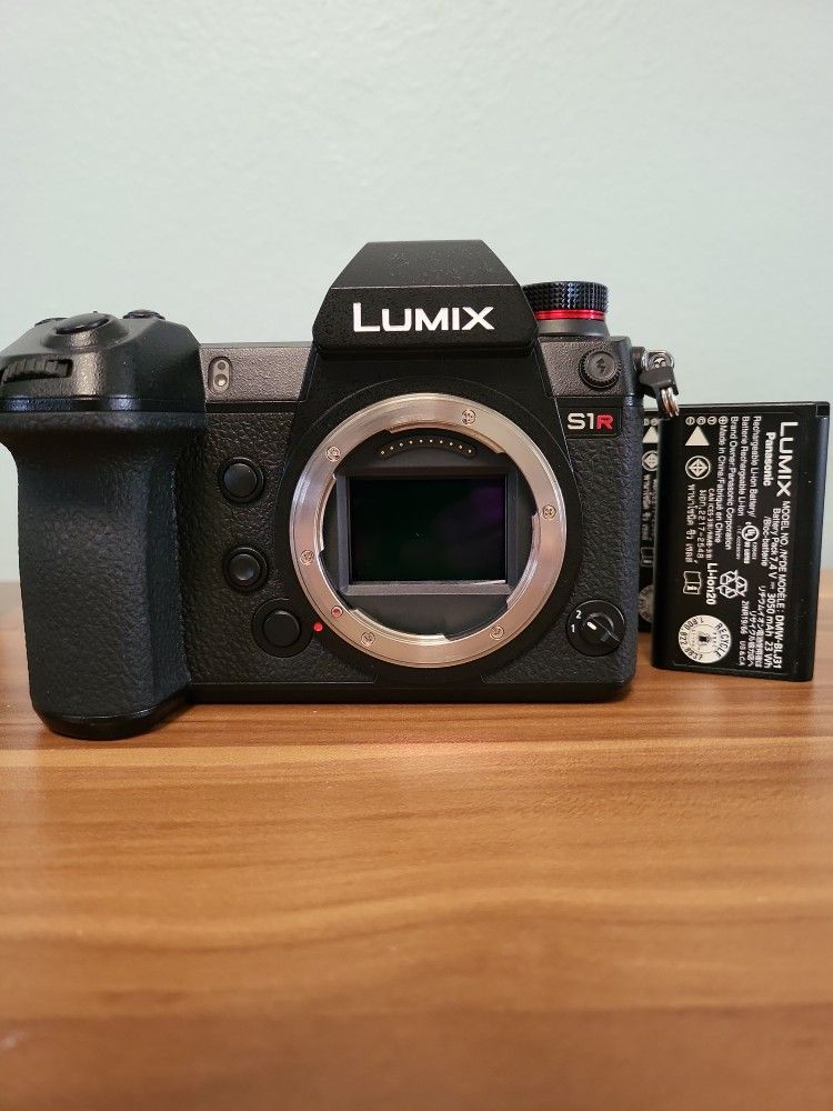 Panasonic Lumix DC-S1R Full Frame 47MP Professional Mirrorless Camera ...