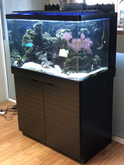 RED Sea Max 250, 66gal Reef Aquarium with Live Fiji Rock, LED lighting ...