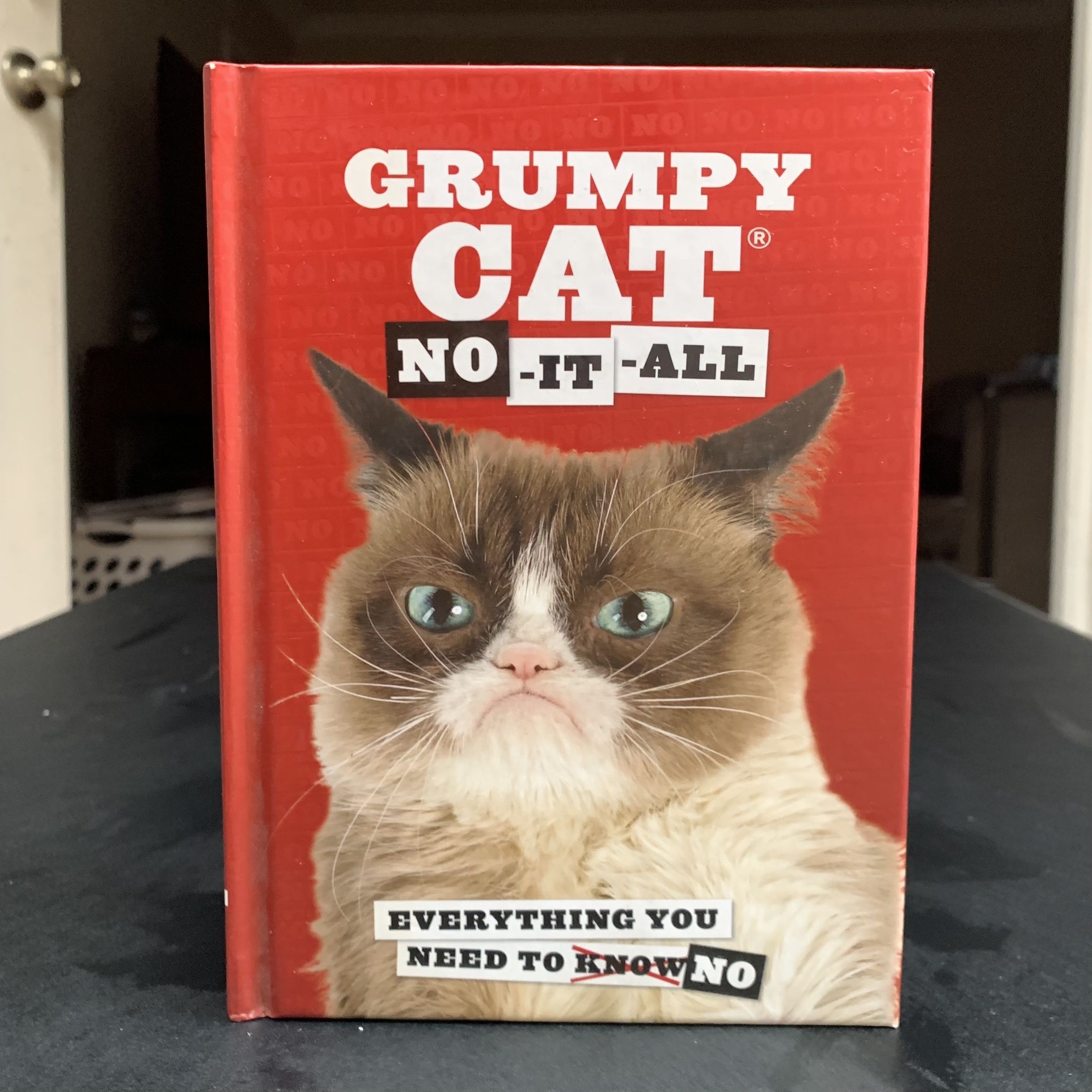 Grumpy Cat Umm No