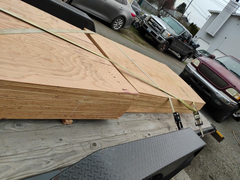 1/2" CDX Plywood 4ftx8ft for Sale in Tacoma, WA - OfferUp