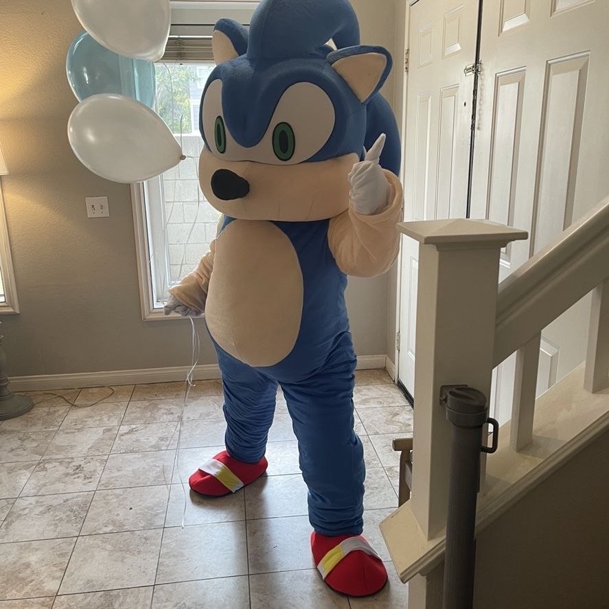 Sonic The Hedgehog Mascot Costume